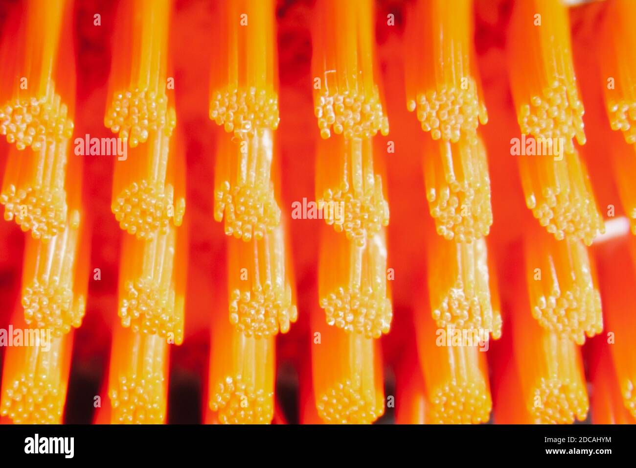 Toothbrush equipment hi-res stock photography and images - Alamy