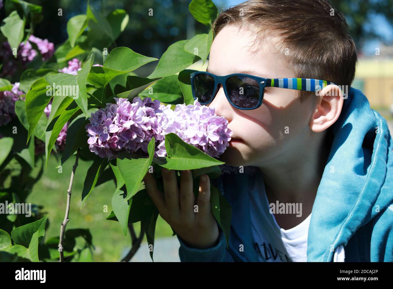 Boy sniffing flower hi-res stock photography and images - Alamy