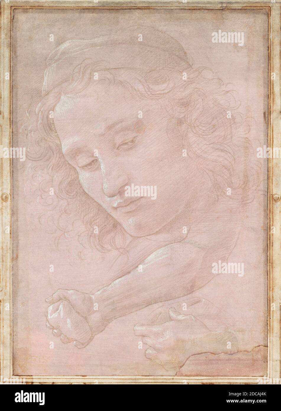 Sandro Botticelli, (artist), Florentine, 1446 - 1510, Head of a Youth ...