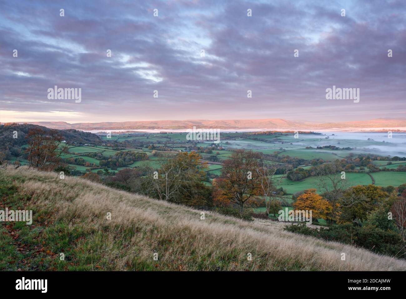 Pathwork of fields hi-res stock photography and images - Alamy