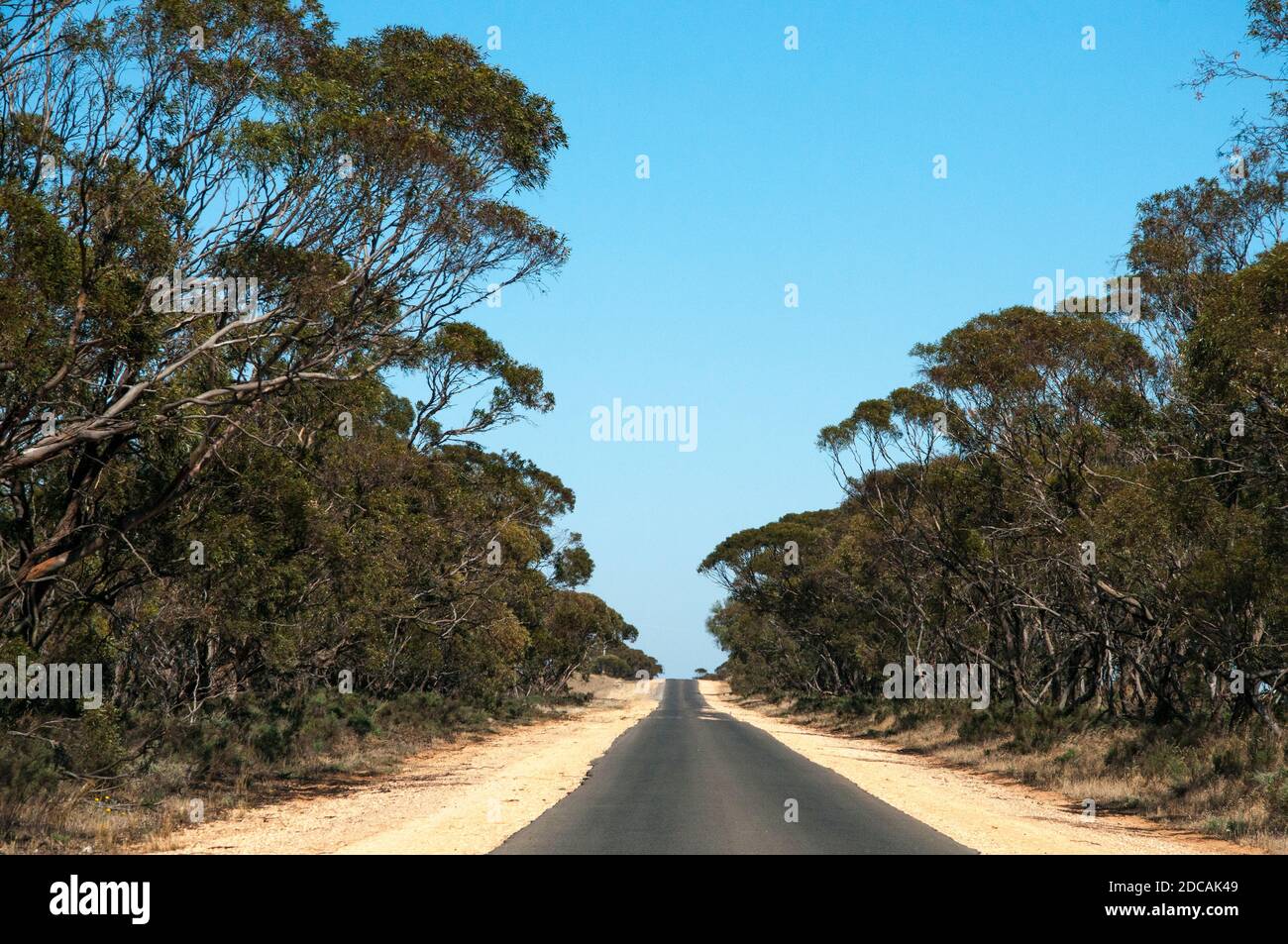 Country road near Speed in the Mallee region, Victoria Stock Photo - Alamy