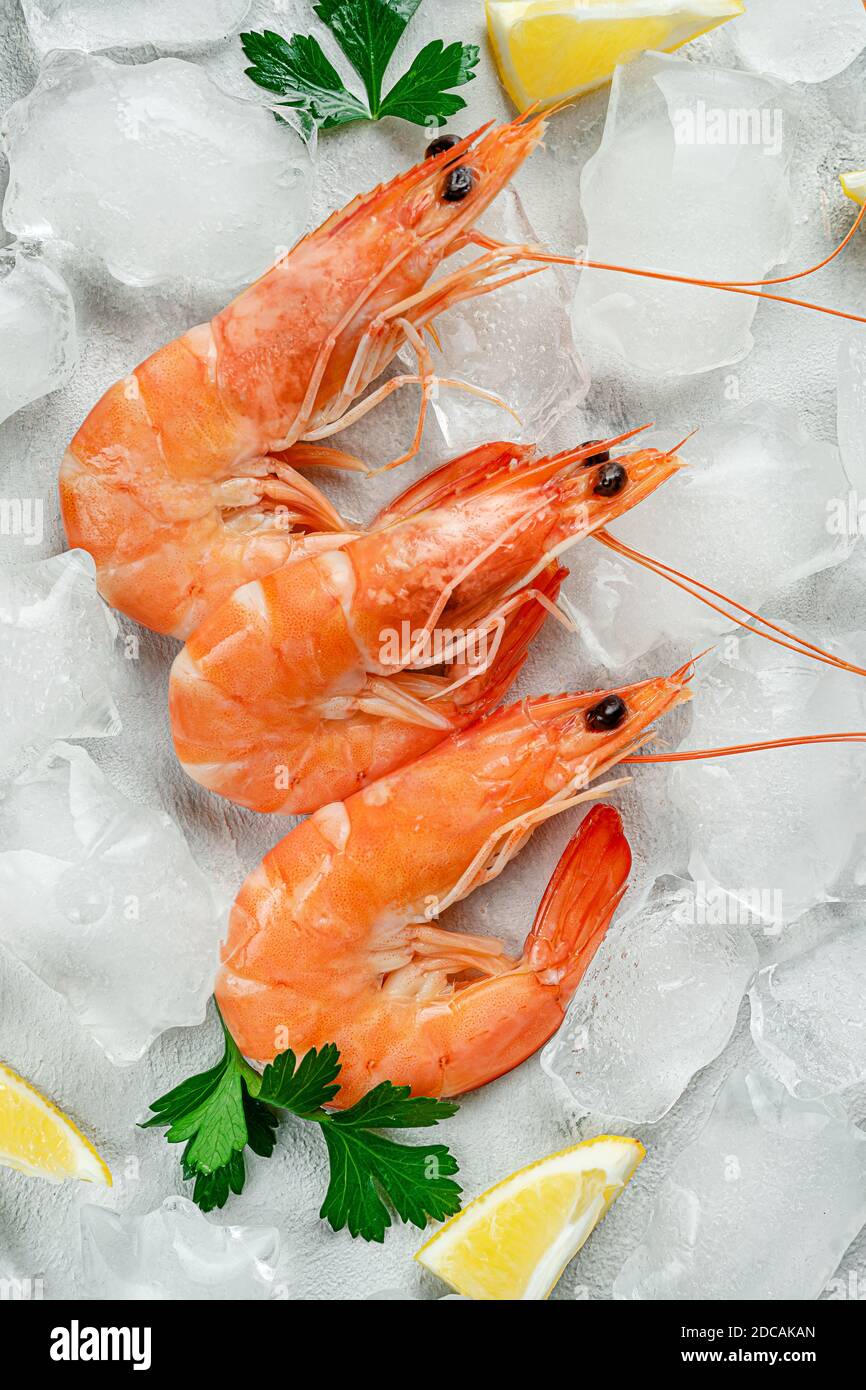 Healthy eating. Fresh tiger prawns on ice. Italian food Stock Photo - Alamy