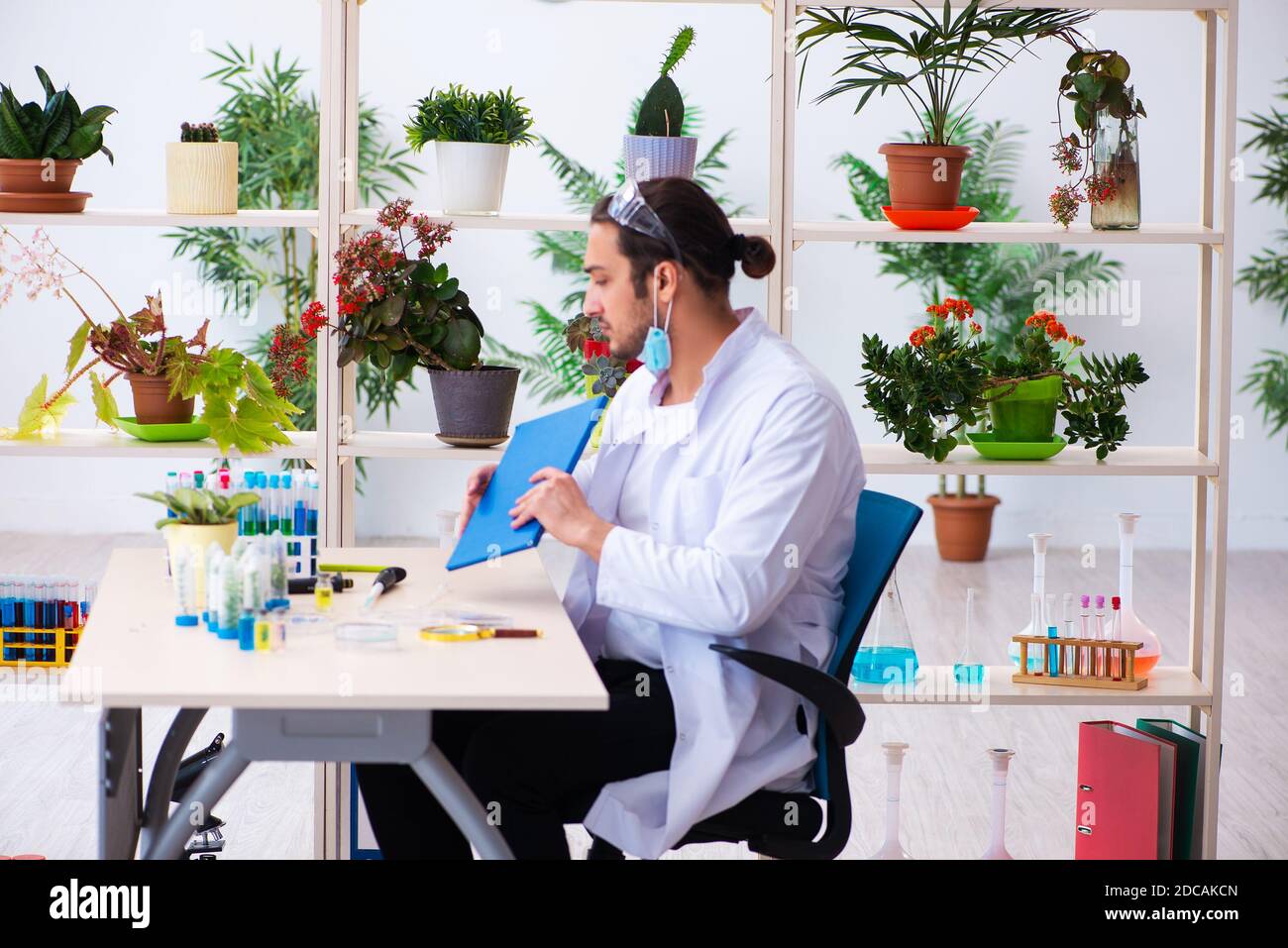 Young chemist perfumer working in the lab Stock Photo - Alamy