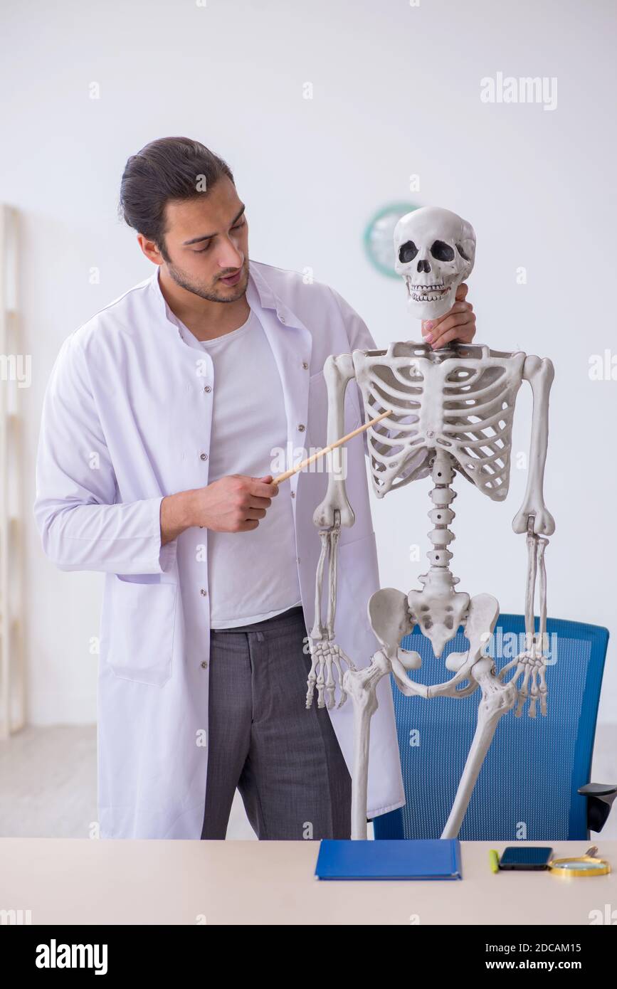 Young doctor demonstrating human skeleton Stock Photo - Alamy
