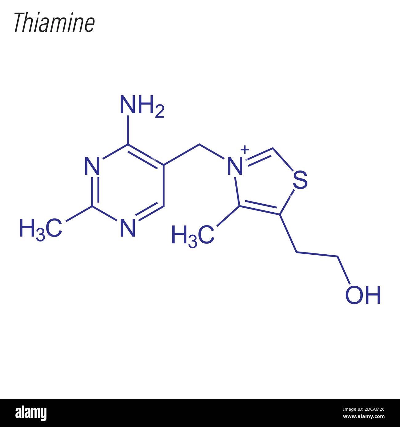 Skeletal formula of Thiamine. Drug chemical molecule Stock Vector Image ...