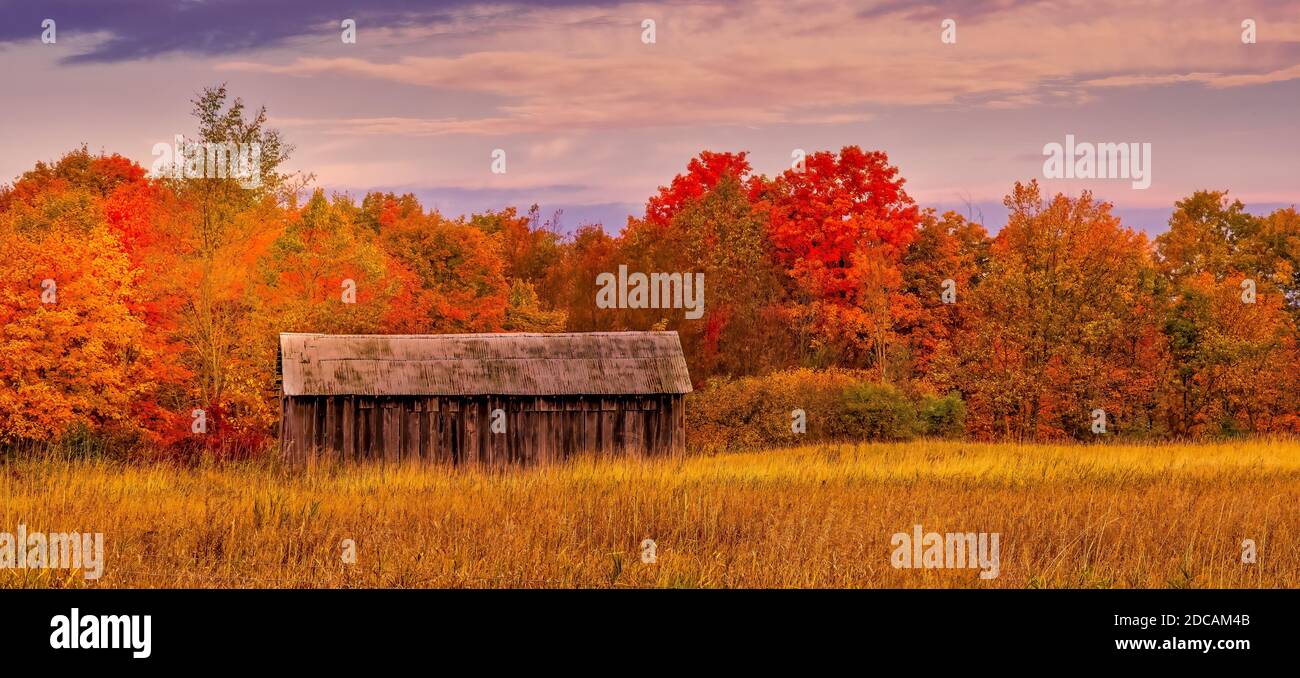 barn in the fall colors Stock Photo - Alamy