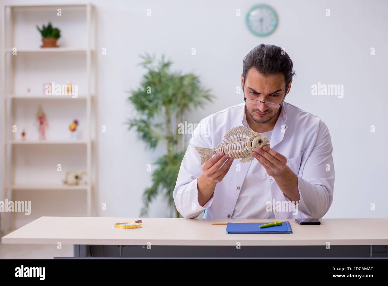 Young zoologist student studying fish skeleton Stock Photo - Alamy