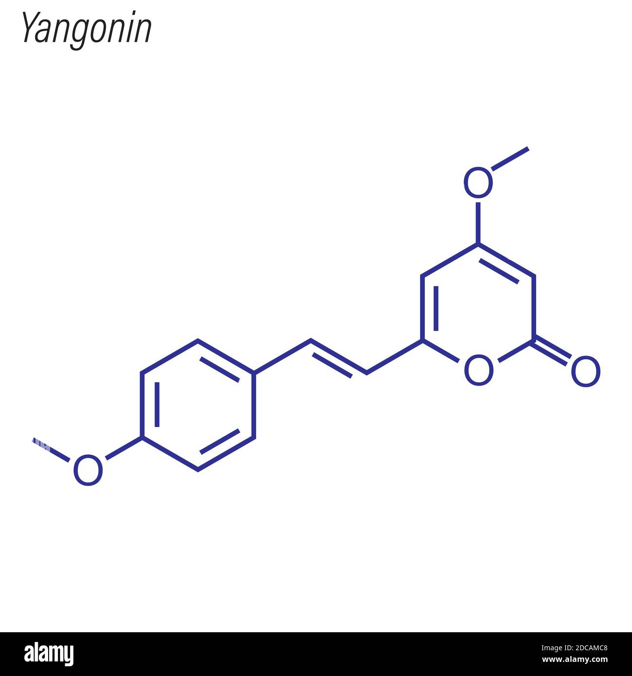 Skeletal formula of Yangonin. Drug chemical molecule Stock Vector Image ...