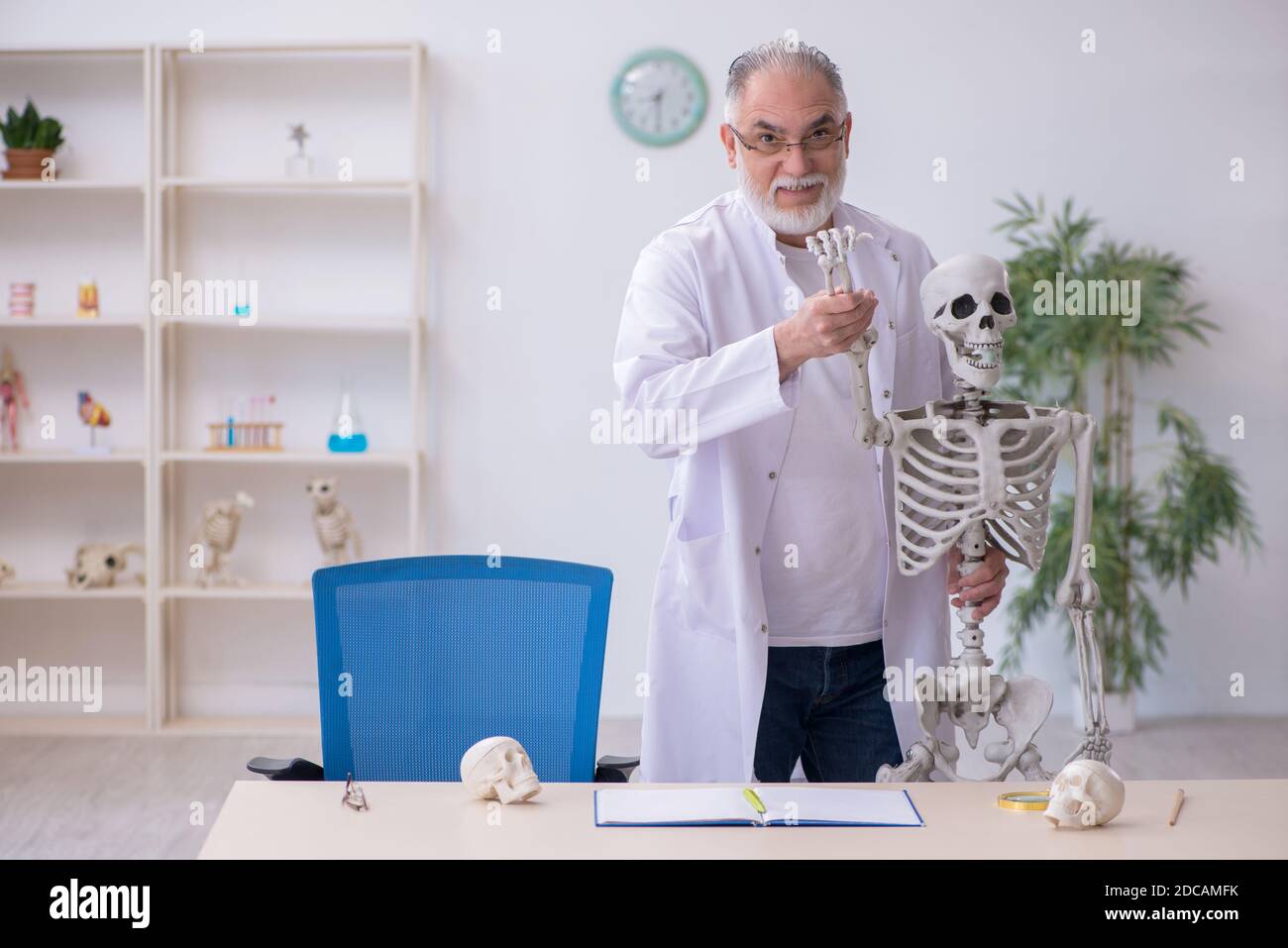 Old anatomy teacher demonstrating human skeleton Stock Photo - Alamy