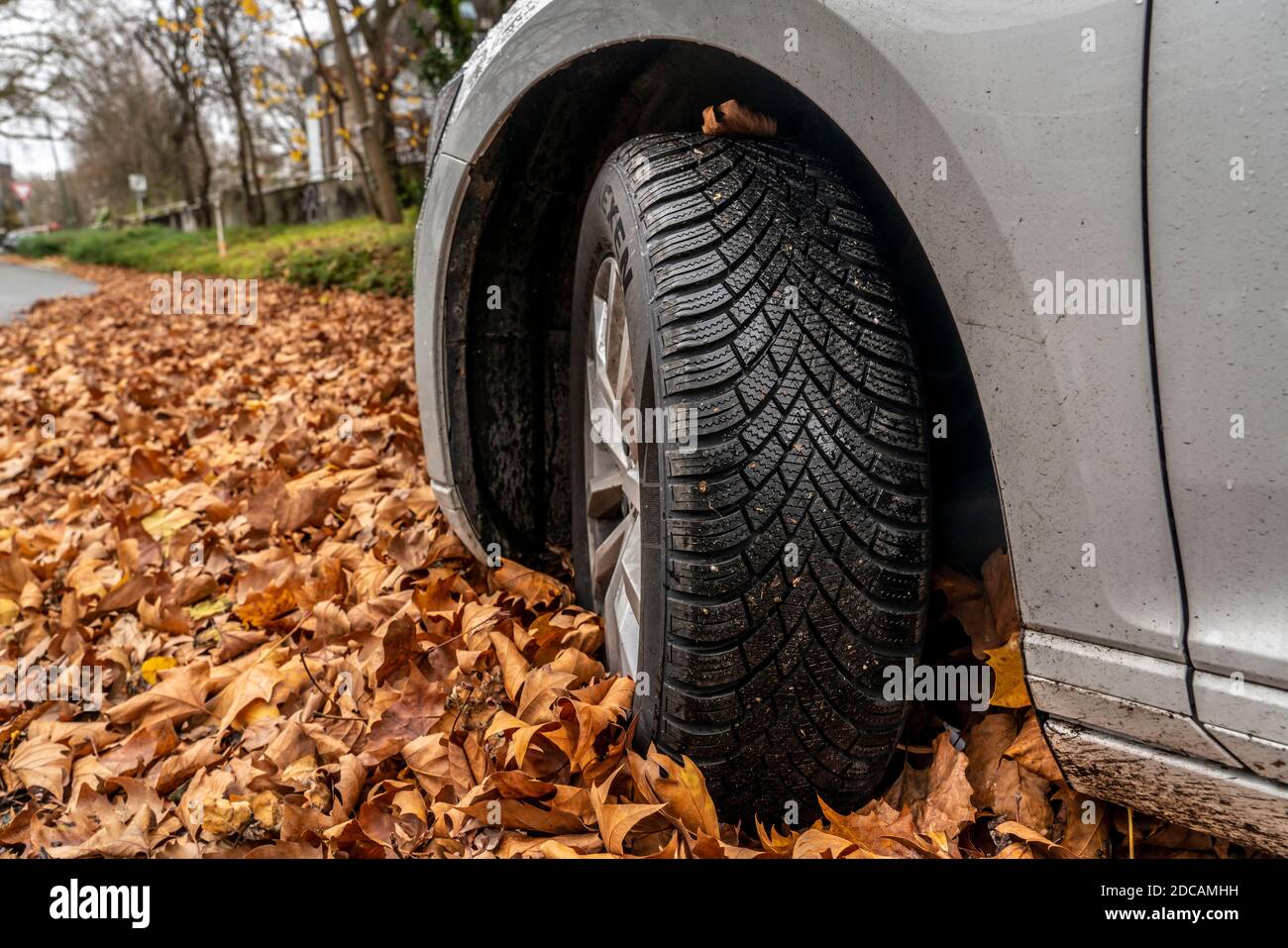 Car, Driving on autumn leaves, slippery ground, leaves, grip through ...