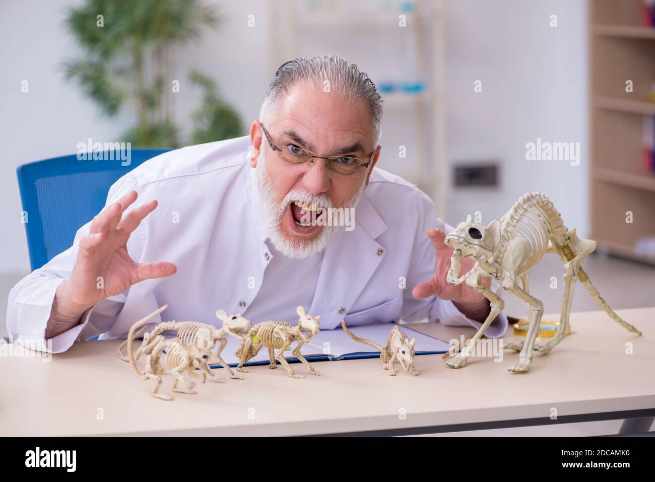 Old paleontologist examining ancient animals at lab Stock Photo - Alamy
