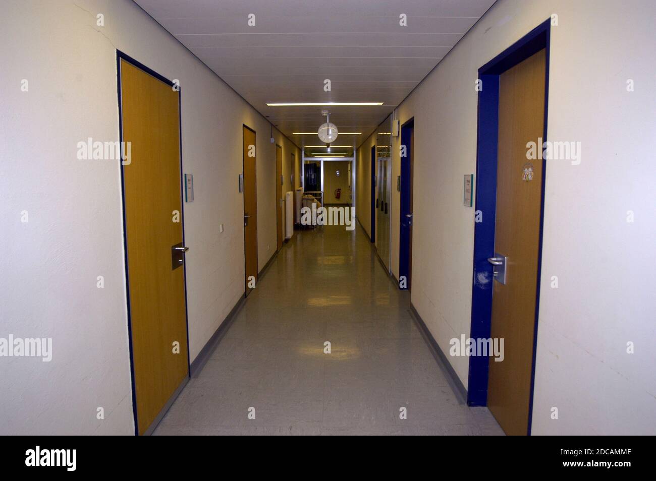 administrative organization in the public service sector, office and ...