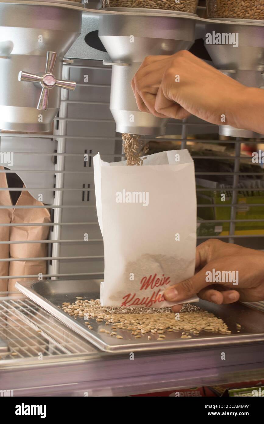 wheat a cereal grain and staple food in agricultural production Stock ...