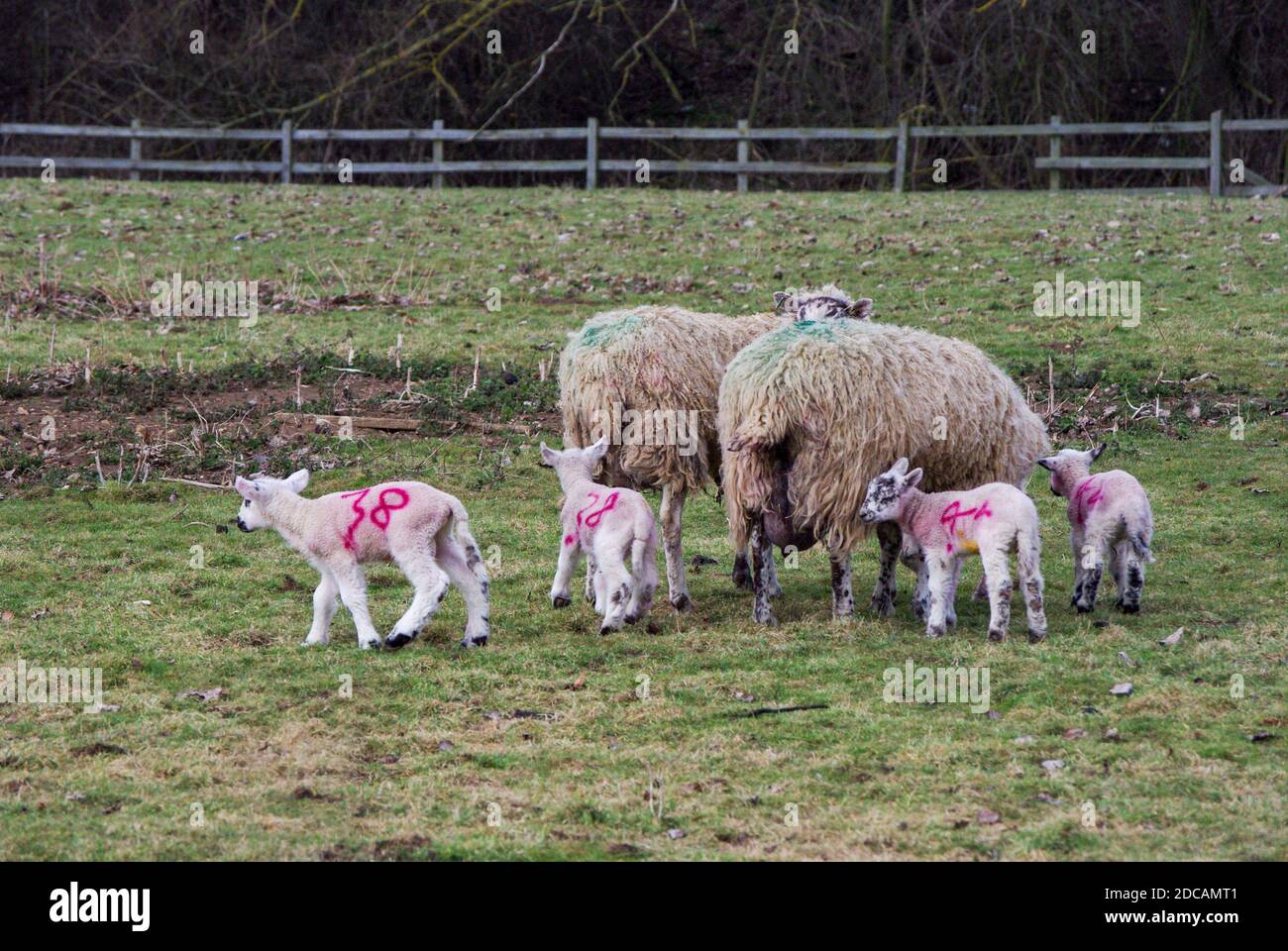 Number spray painted hi-res stock photography and images - Alamy