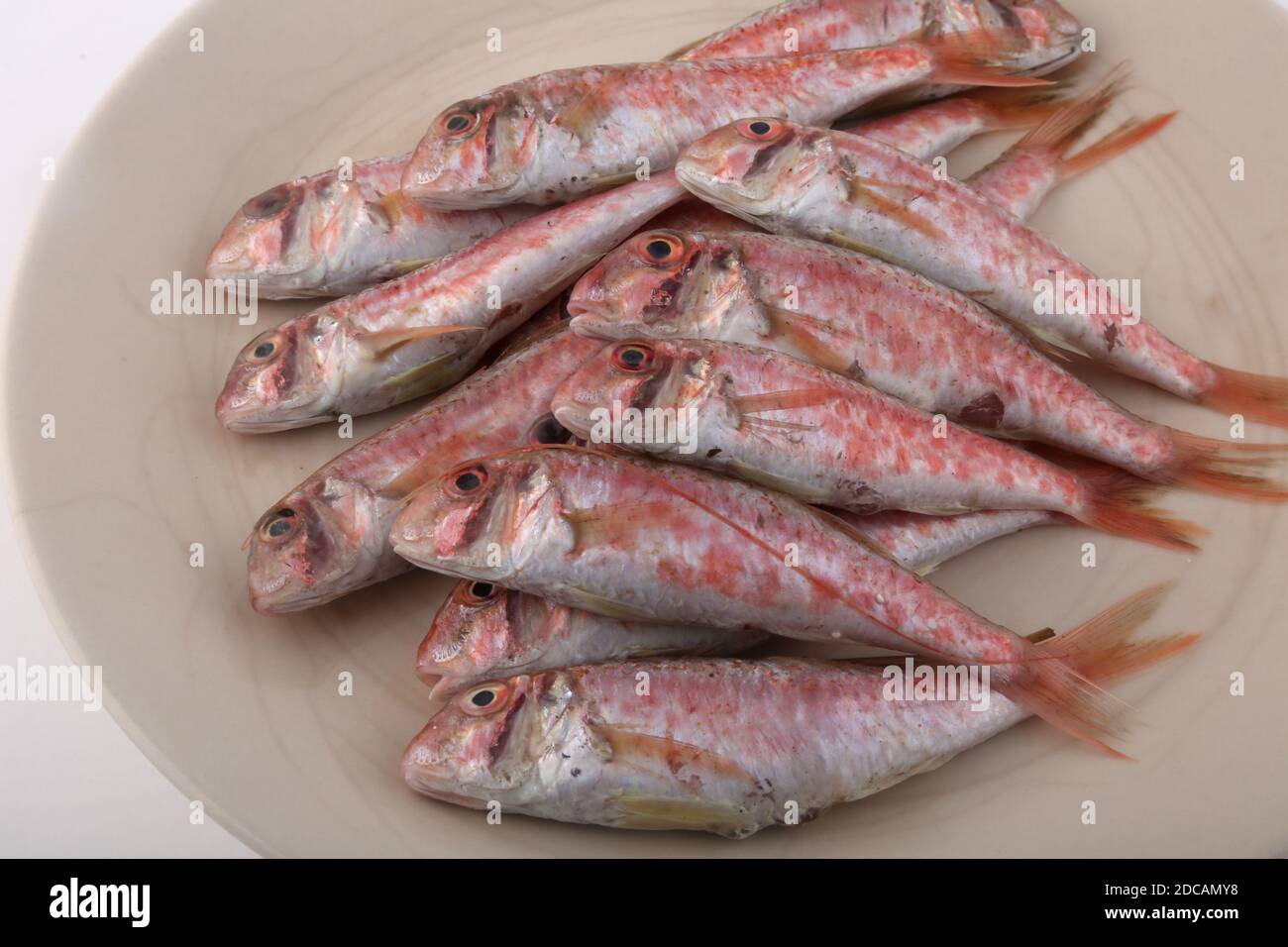 Mullet top hi-res stock photography and images - Alamy