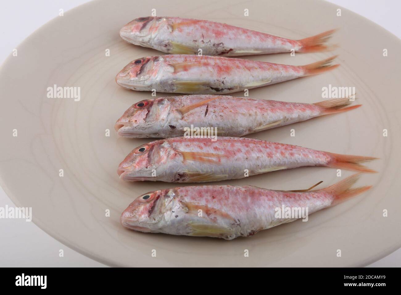 red mullet fish Stock Photo - Alamy