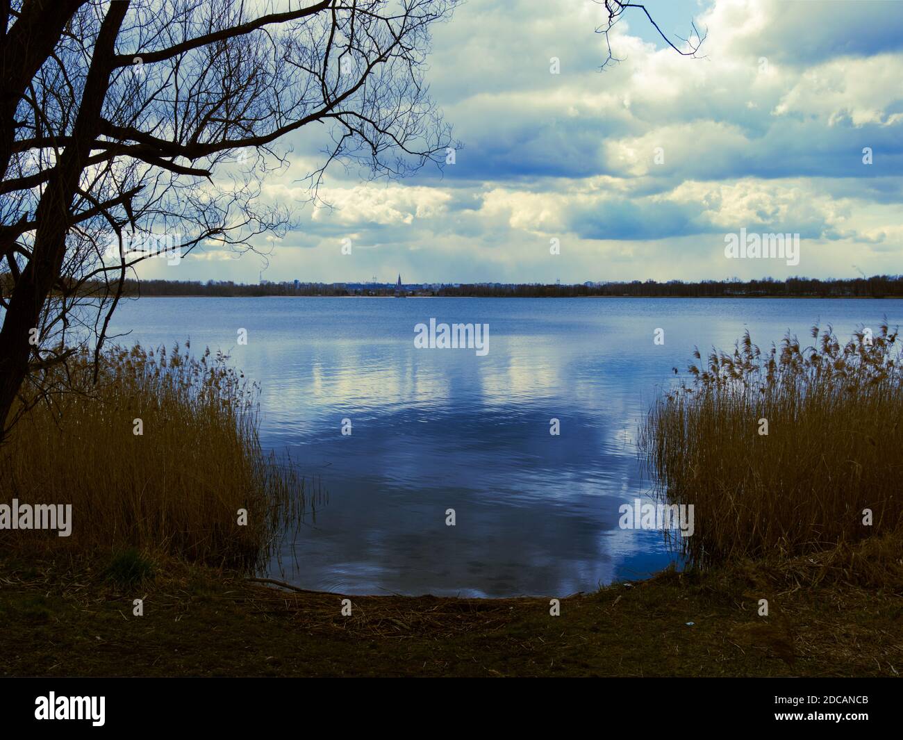 Blue mood at the lakeside Stock Photo - Alamy