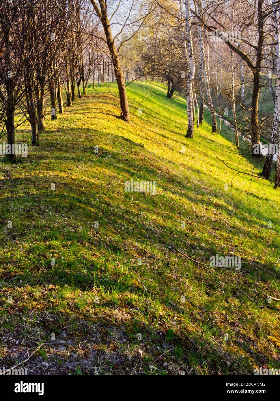 Long shadows on the steep slope Stock Photo - Alamy