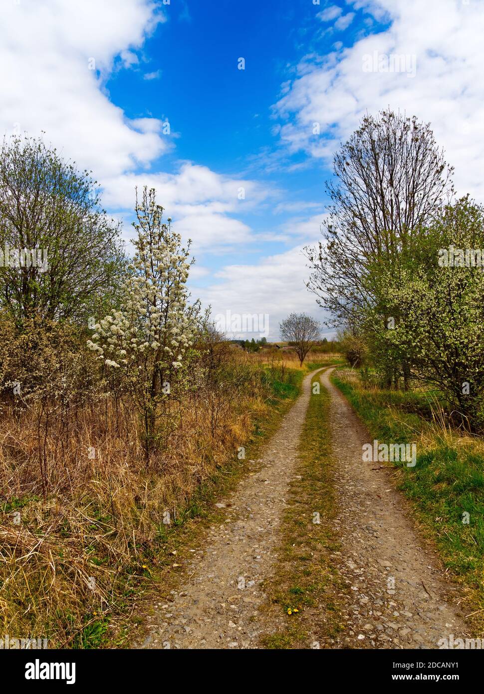 Country road in spring hi-res stock photography and images - Alamy