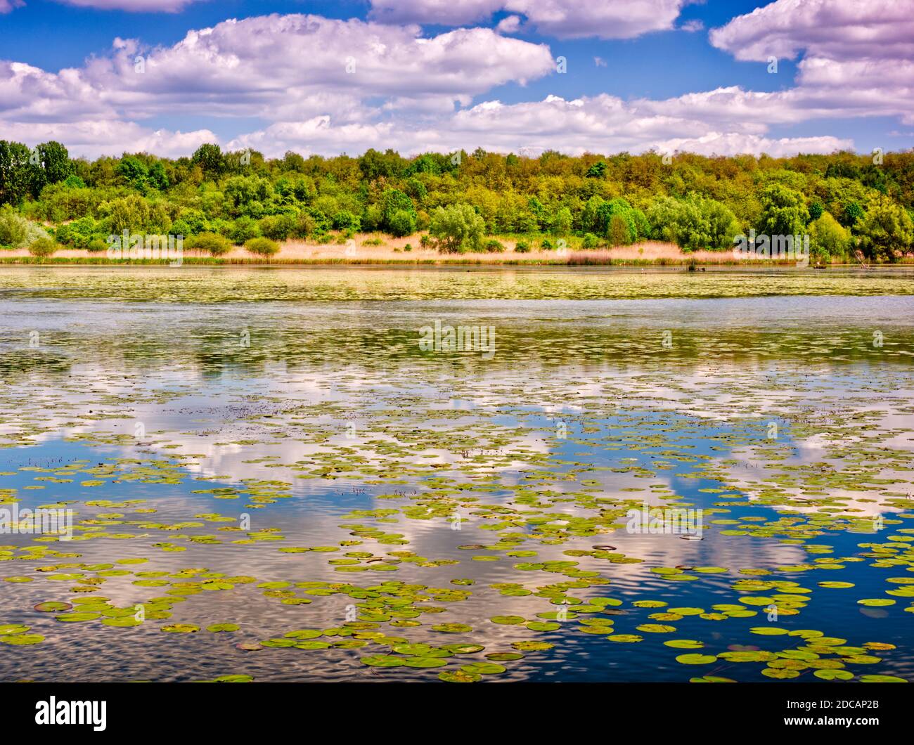Pogoria lake hi-res stock photography and images - Alamy