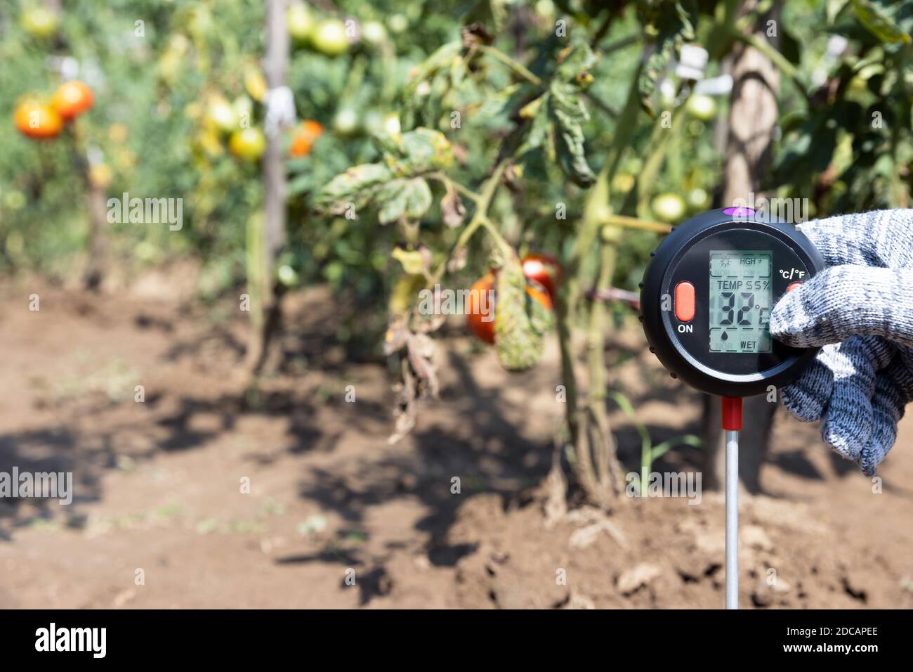 Soil temperature, moisture content and environmental humidity ...