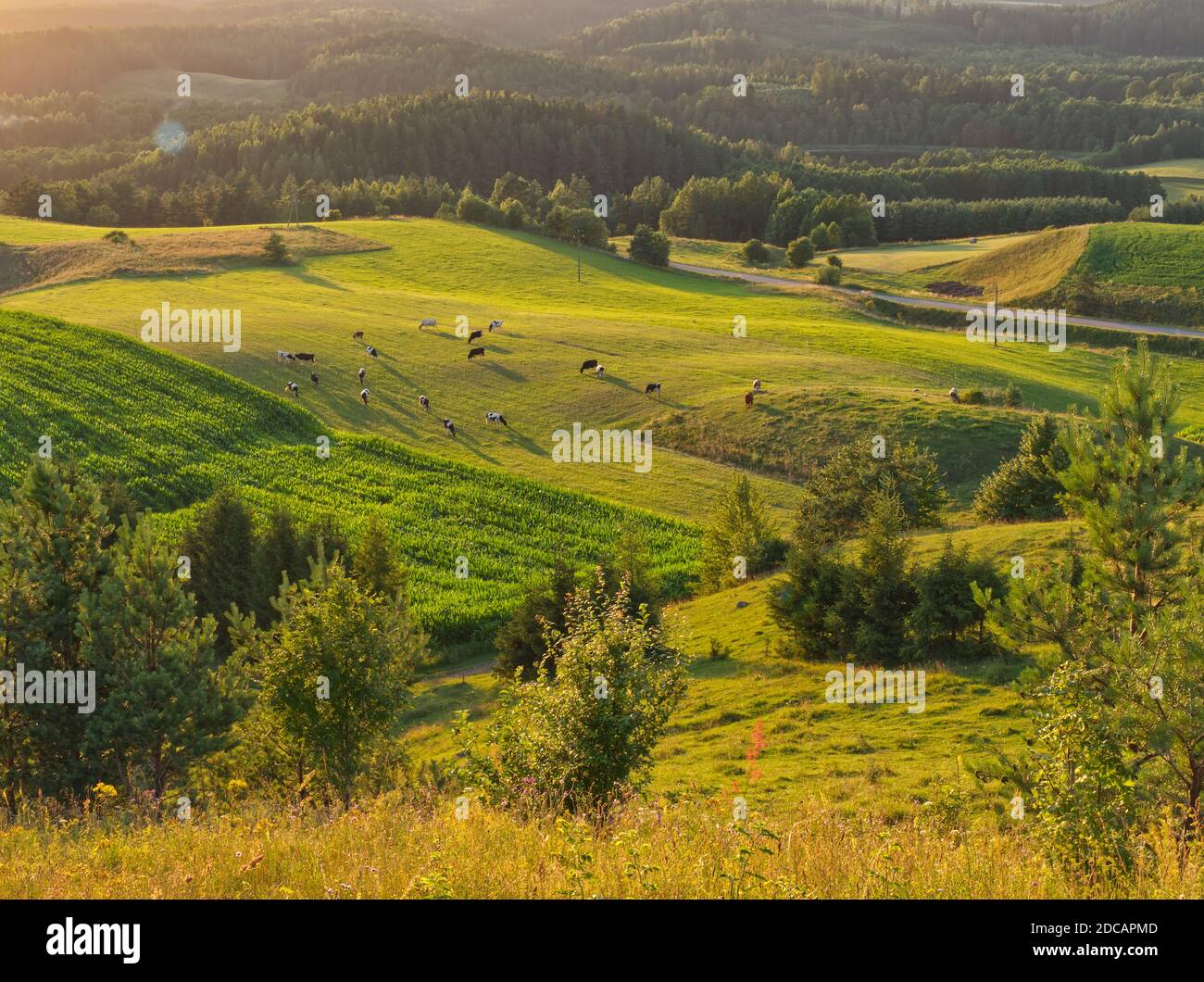 Landscape of full of beautiful hills Suwalszczyzna region in Poland ...
