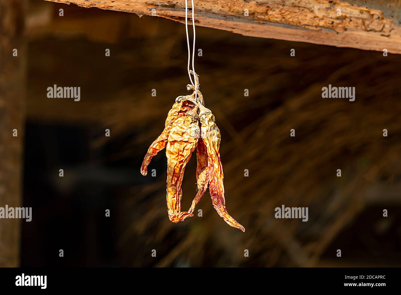 dry under a canopy, sun protection Stock Photo - Alamy