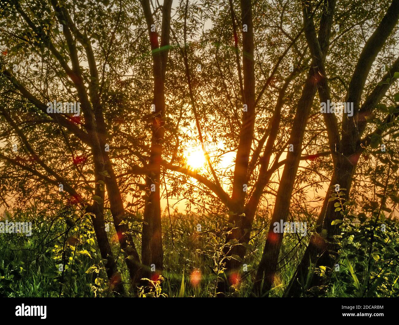 Setting sun in nature environment. Photo with a greatly exposed optical ...