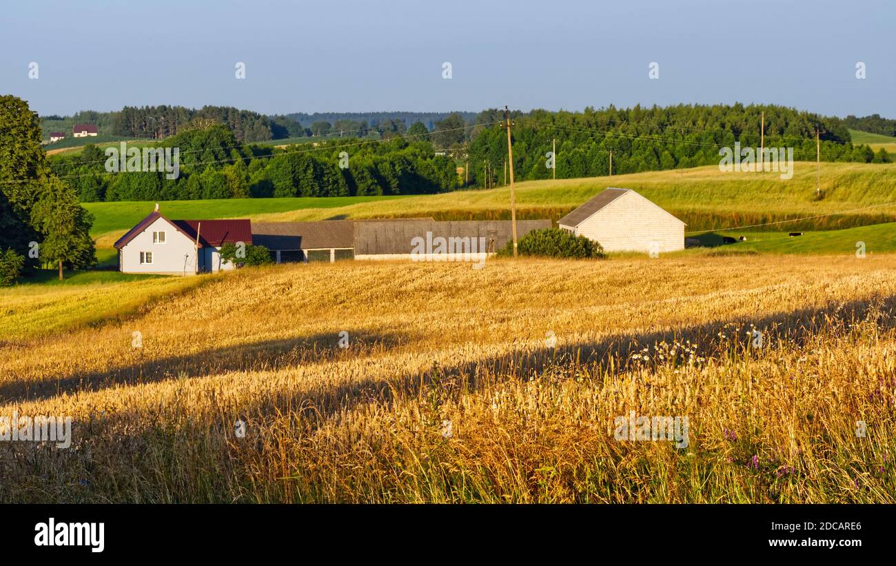 Peaceful Polish farms on beautiful countryside - on rural areas Stock ...