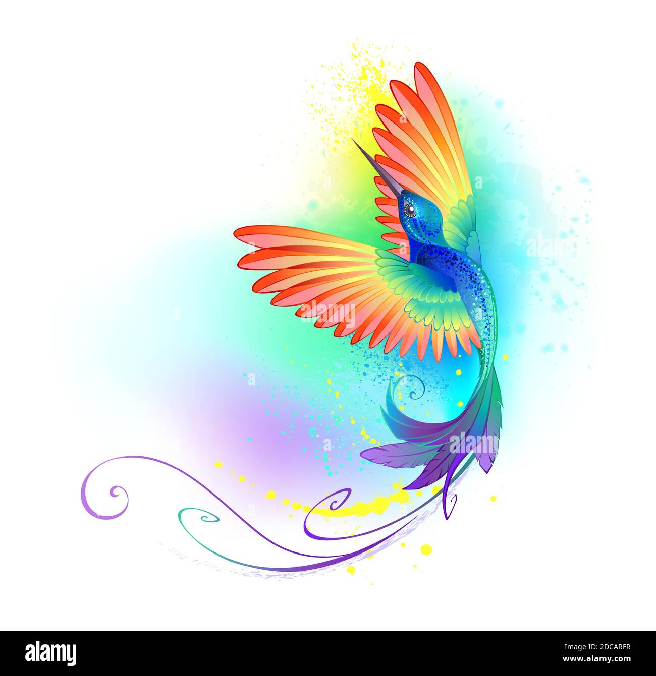 Rainbow hummingbird hi-res stock photography and images - Alamy