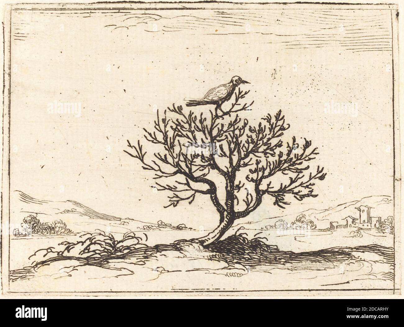 Jacques Callot, (artist), French, 1592 - 1635, Nightingale in a Bush ...
