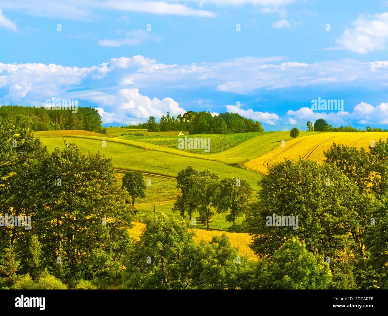 Agricultural landscape with Polish fields and blue cloudy sky above ...