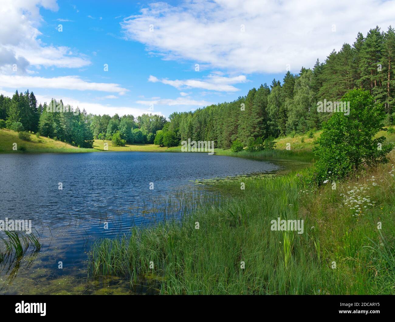 Landscape of Dobellus Duzy Lake in Suwalszczyzna, Poland at a day Stock ...