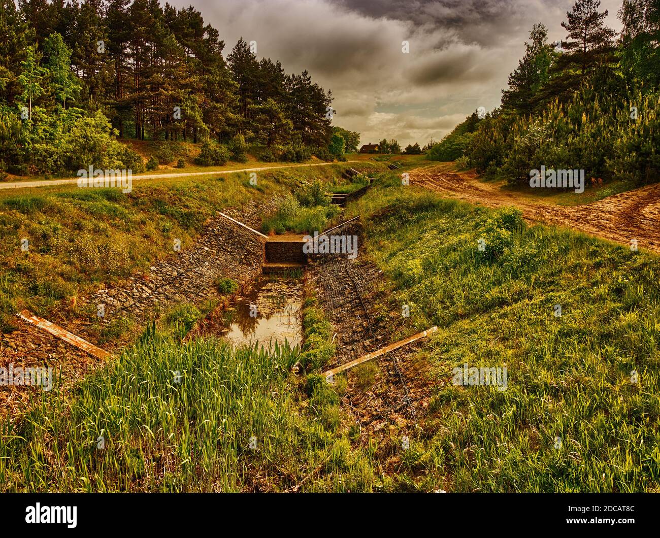 High dynamic range (HDR), full of colors landscape with grasses ...