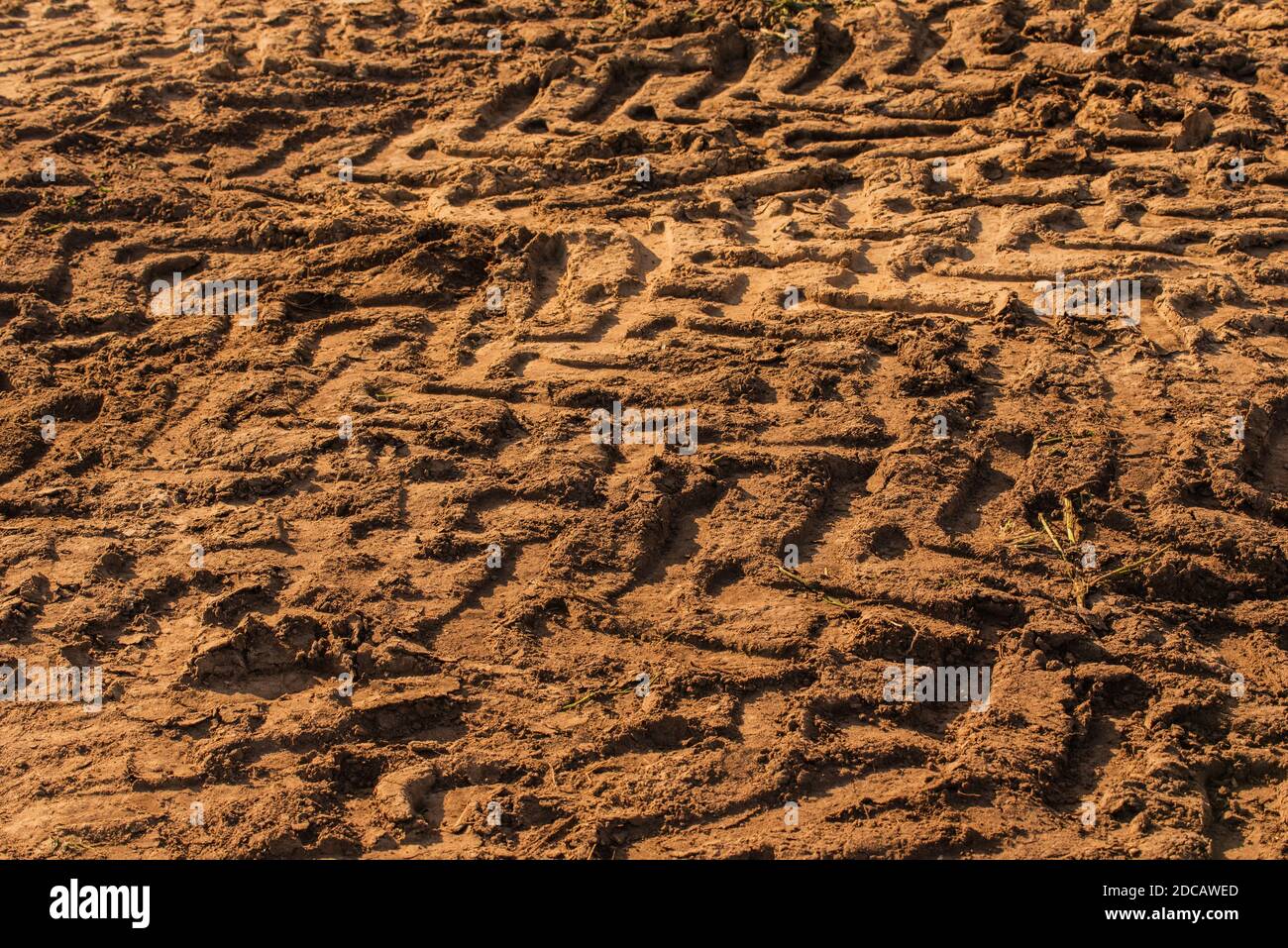 texture of the earth. Black earth soil texture. Background black Stock ...