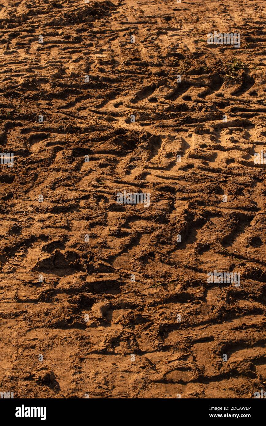 texture of the earth. Black earth soil texture. Background black Stock ...