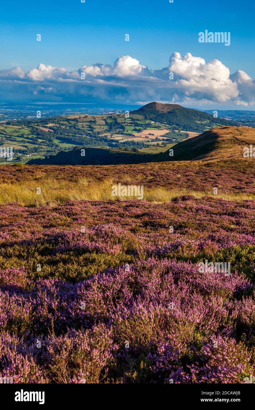Hatterrhall Hill; Pandy; Wales; Brecon Beacons; looking towards Ysgyryd ...