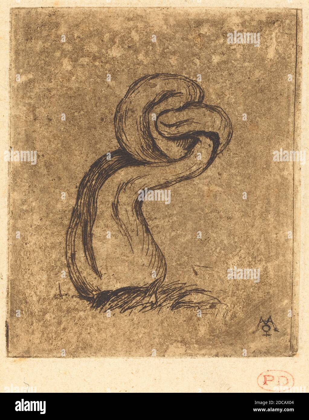 Charles Meryon, (artist), French, 1821 - 1868, Le malingre cryptogame ...