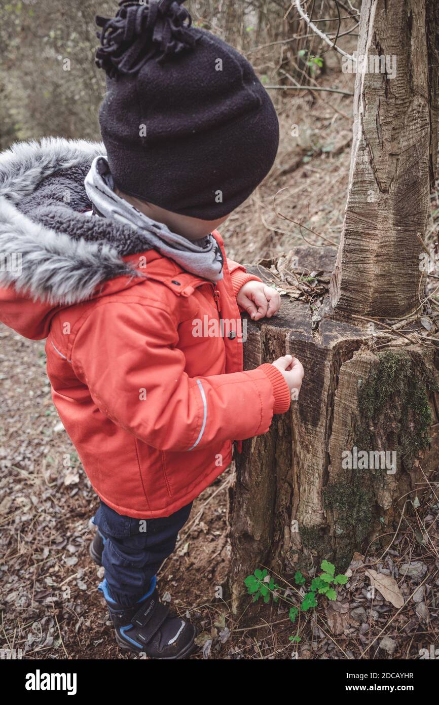 child playing with a stump in the forest Stock Photo - Alamy