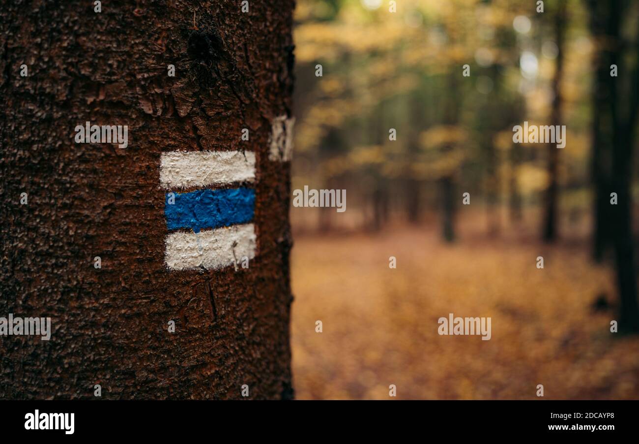 Blue hiking trail. Detail of touristic marking on hiking trails. Marks ...
