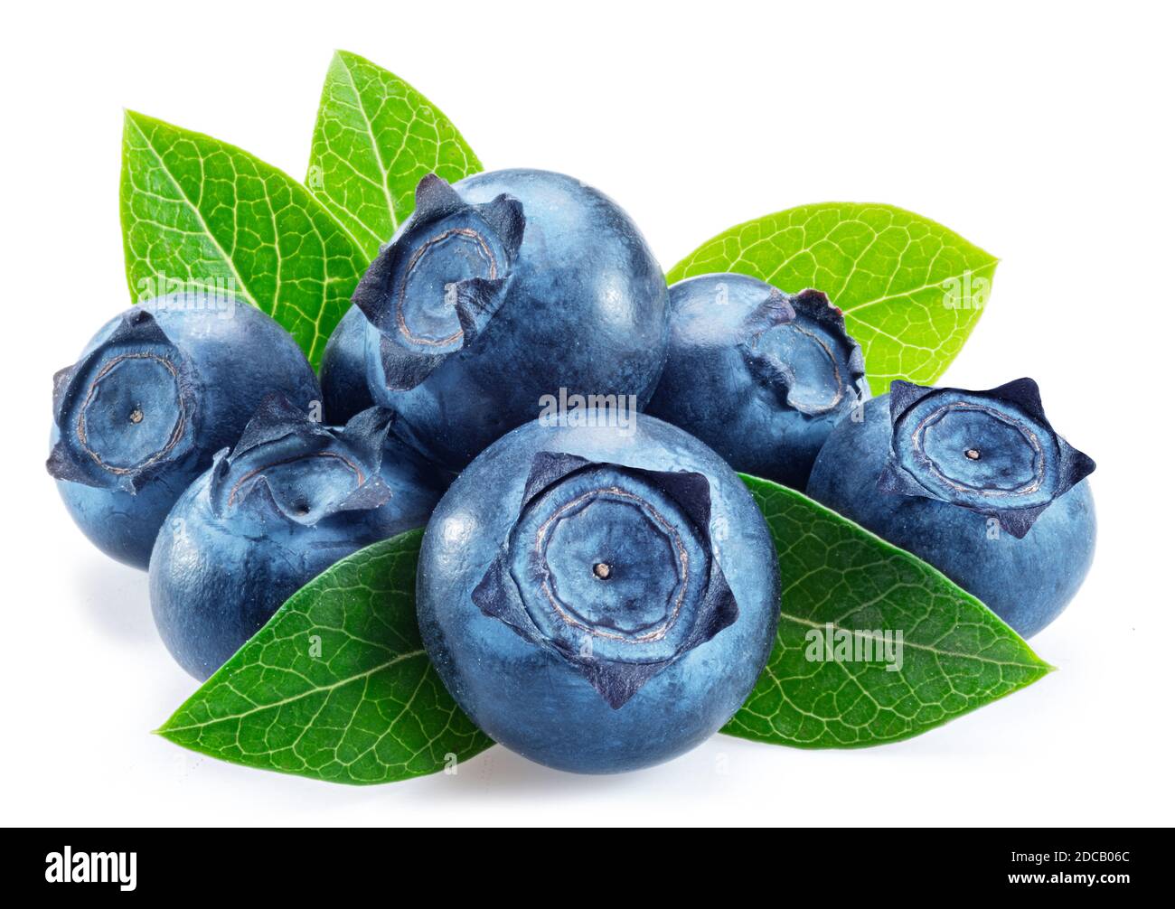 Blueberries with blueberry leaves isolated on a white background Stock ...