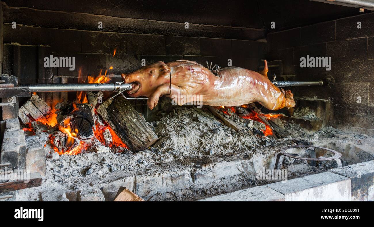 Suckling pig is roasted on a spit over open fire on wood burning stove ...