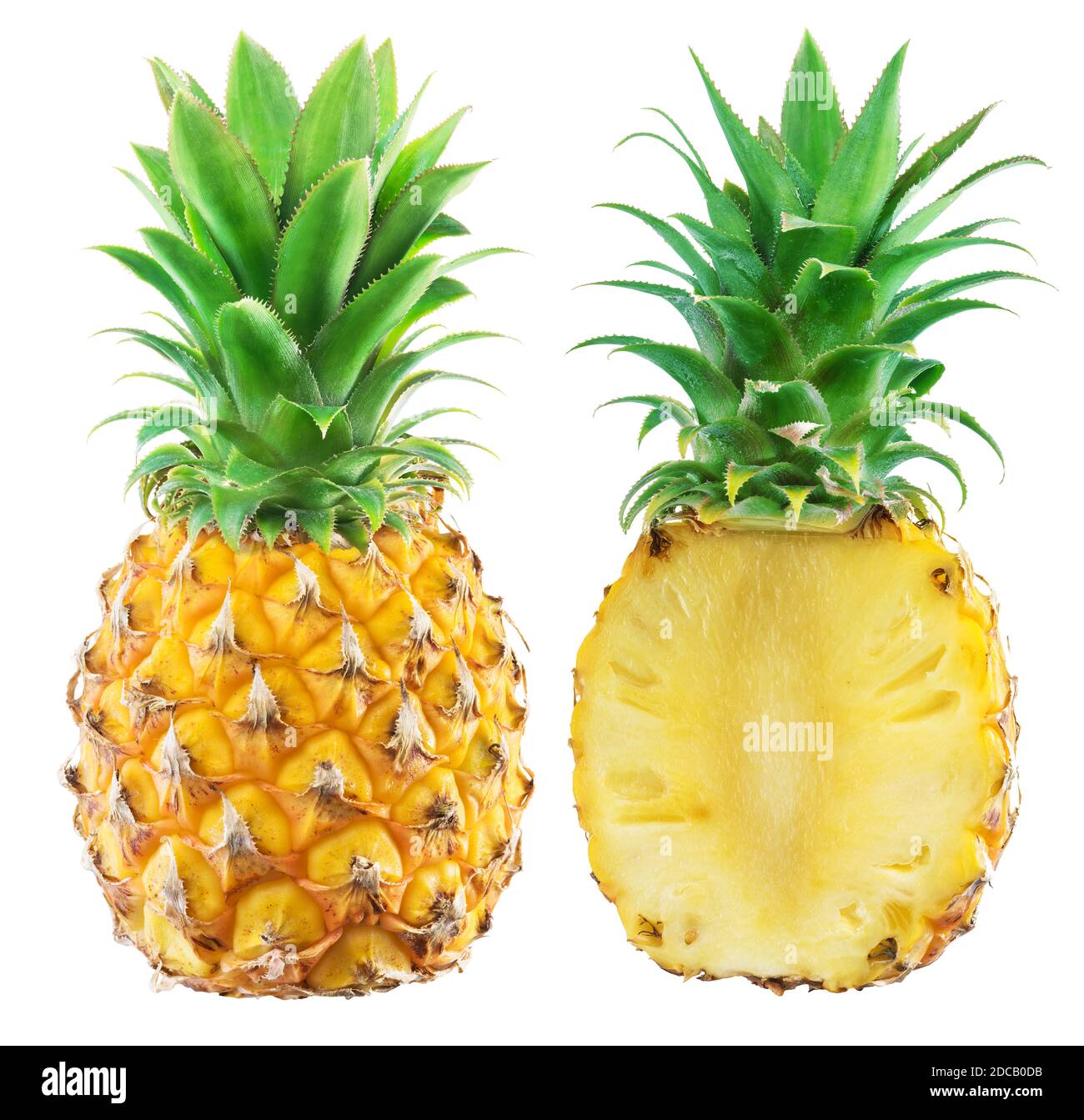 Whole pineapple and half of pineapple isolated on white background ...