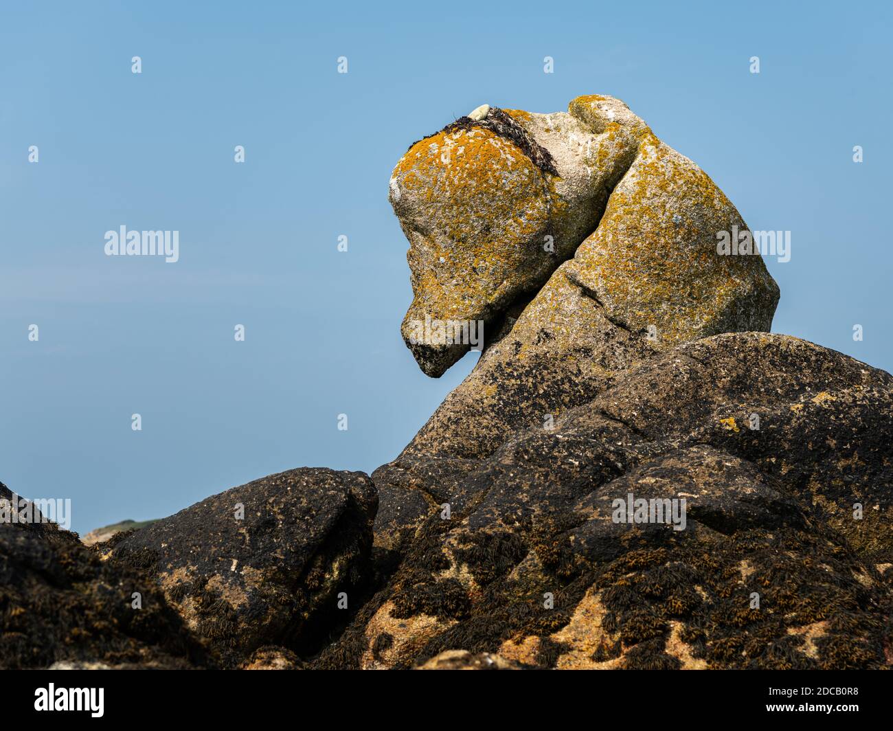 Horse head rock formation hi-res stock photography and images - Alamy