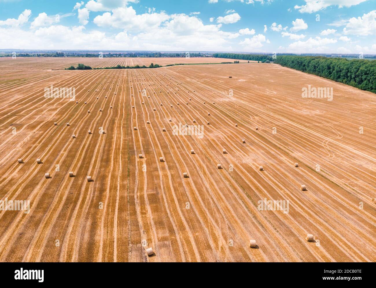 Aerial view of harvested wheat field. Haystacks lay upon the ...