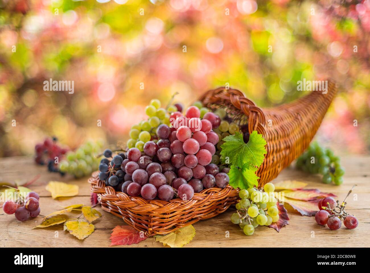 Grape varieties hi-res stock photography and images - Alamy