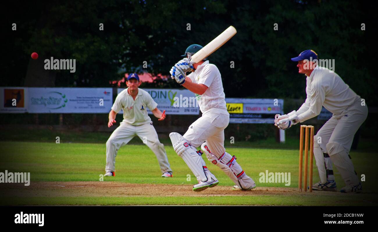 Cricket ball catch hi-res stock photography and images - Alamy