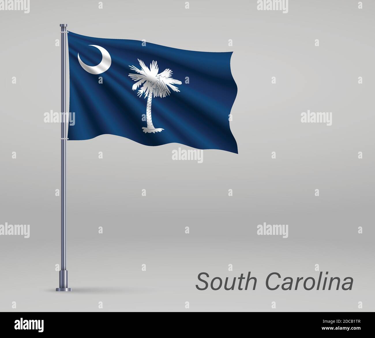 Waving flag of South Carolina - state of United States on flagpole ...