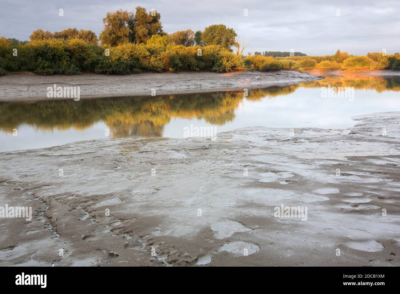 valley of the Durme, Belgium, East Flanders, Tielrode Stock Photo - Alamy