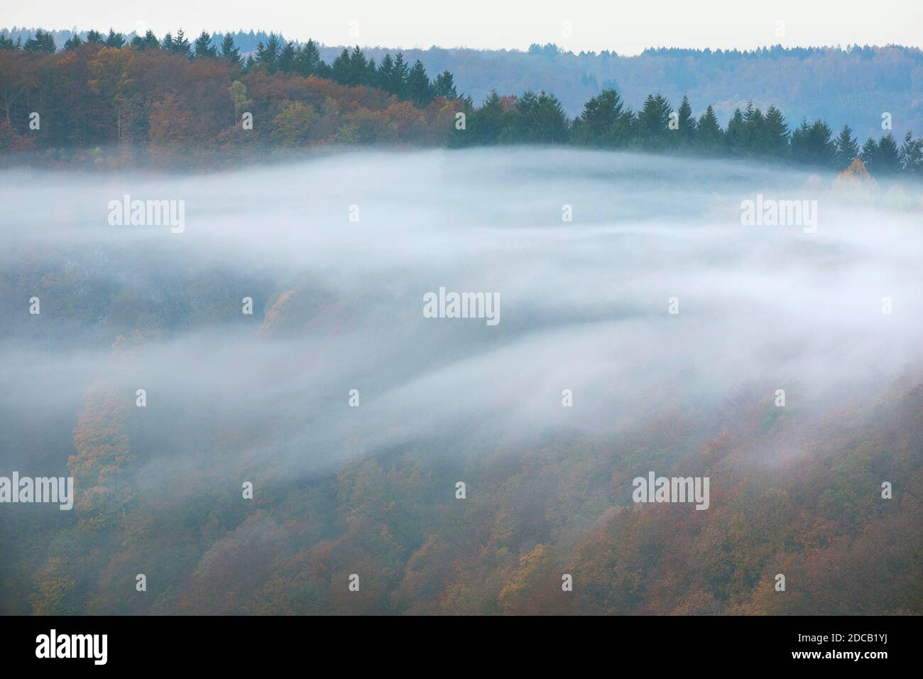 Mist in valley hi-res stock photography and images - Alamy